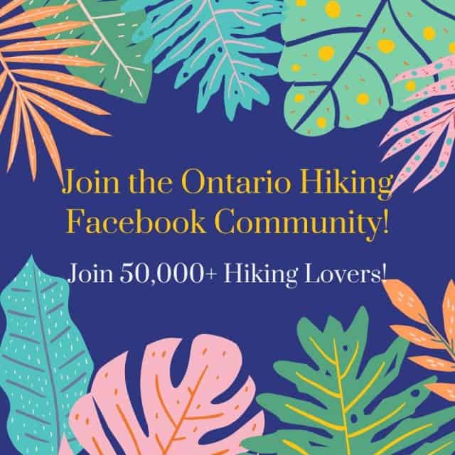 The Ultimate Guide to Hiking the Top of the Giant - Ontario Hiking